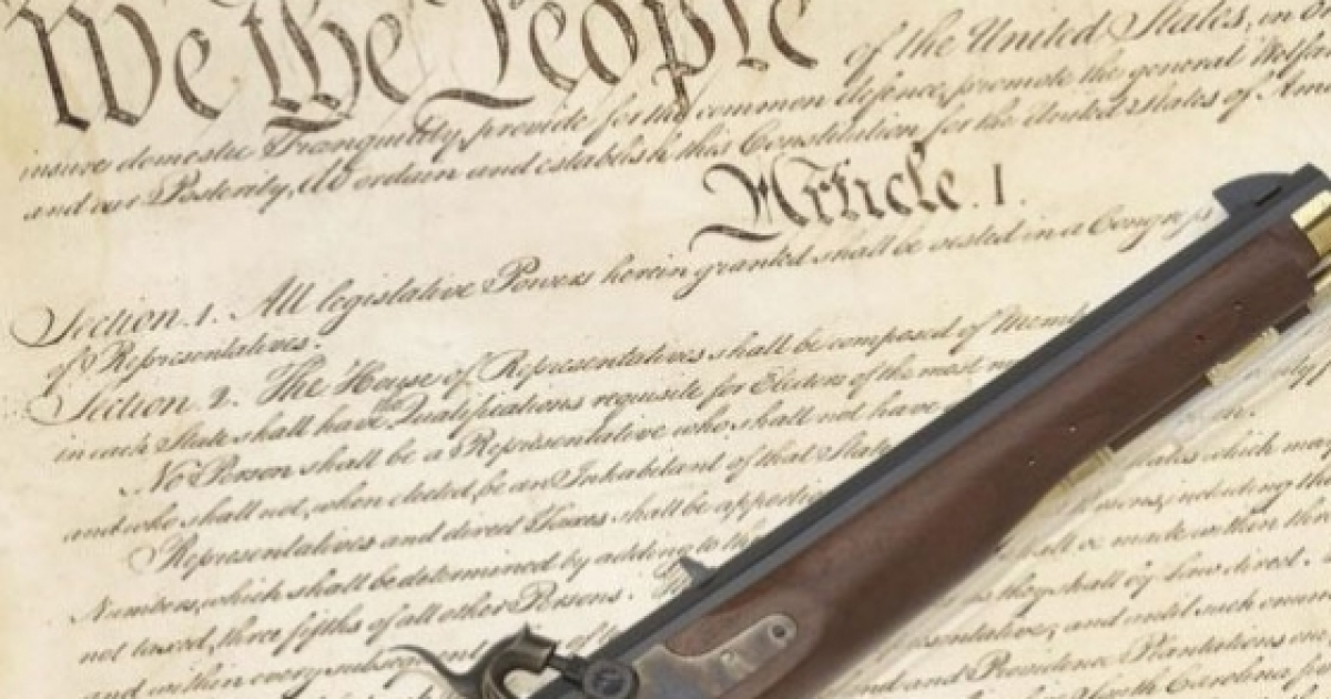 Federal Judge Rules AR-15s are not Protected by Second Amendment • Gary ...