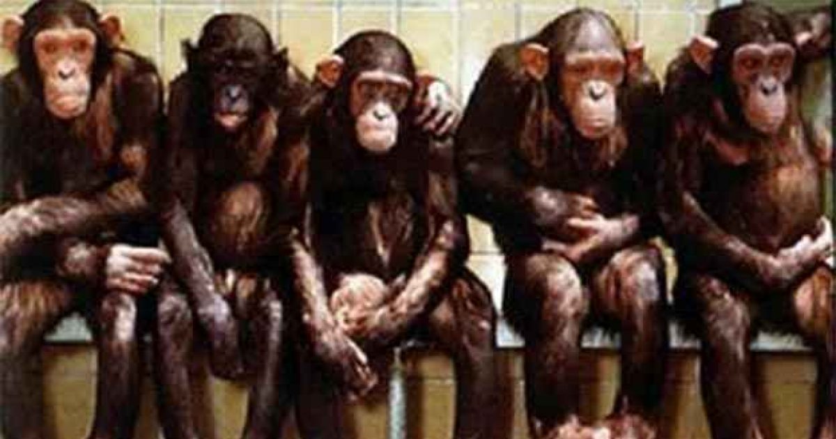 Here's Why Not Much Changes in Congress • Gary DeMar